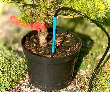 Hanging Basket & Pot Watering Dripper Kit | LeakyPipe